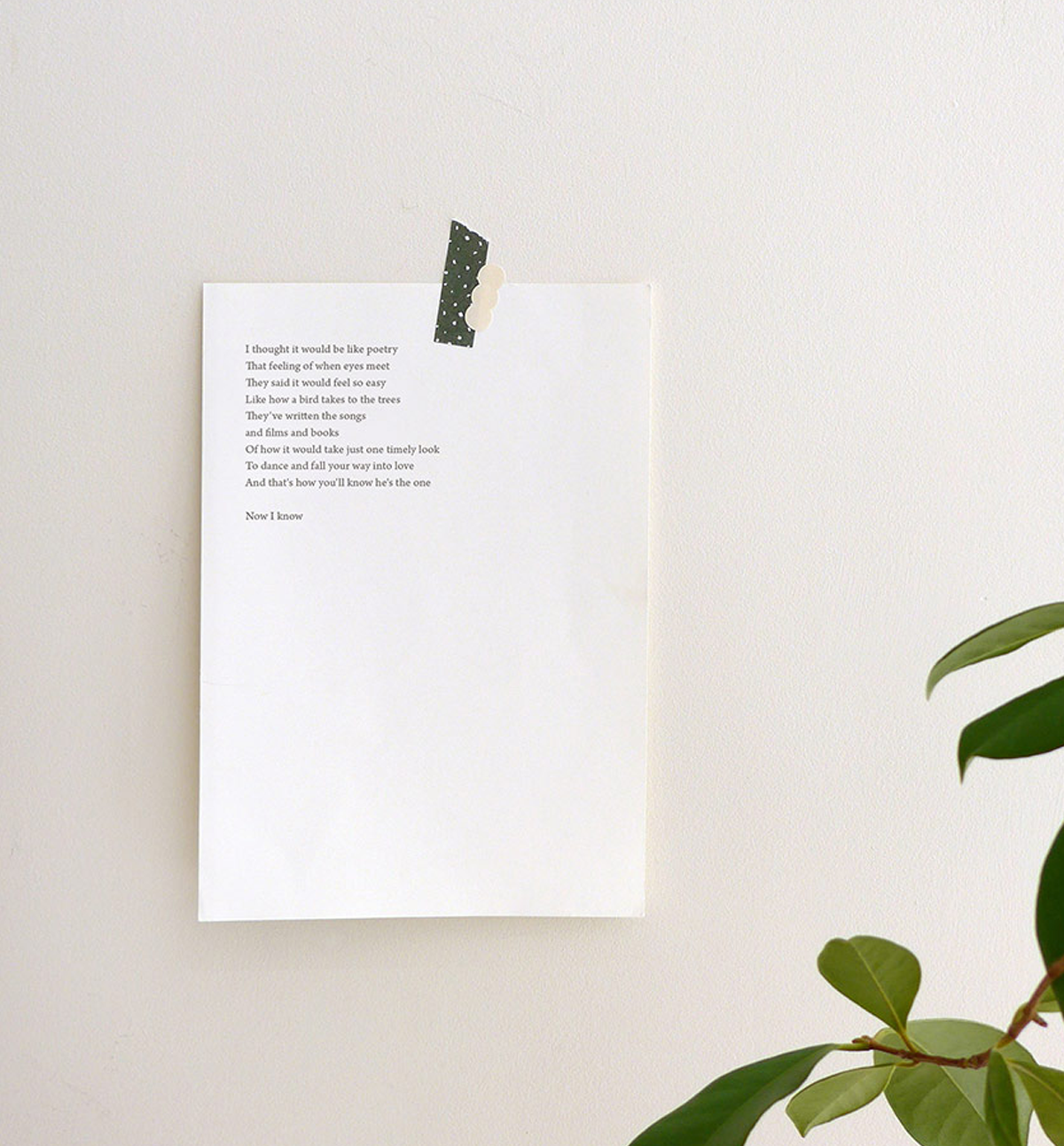 1673 plain.69 Sticker