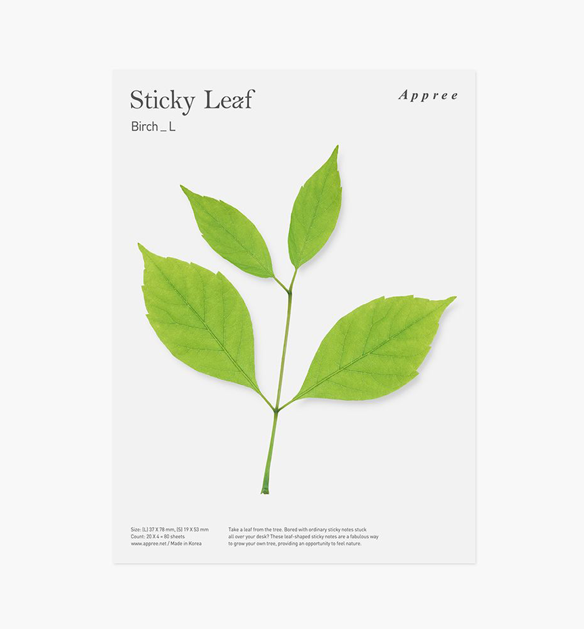 Green Birch Sticky Leaf Note [Large]