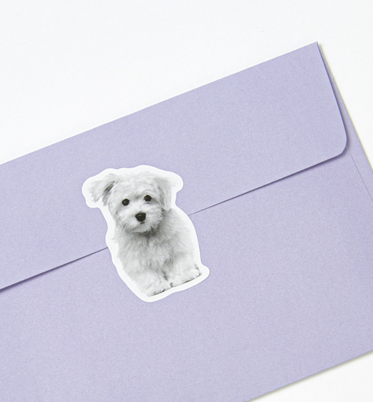 Purple Puppy Letters & Envelopes