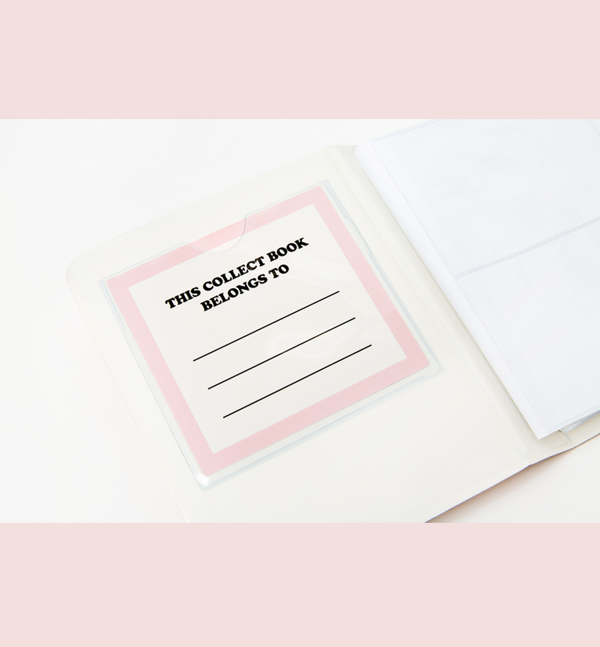 Check Bear Collect Book