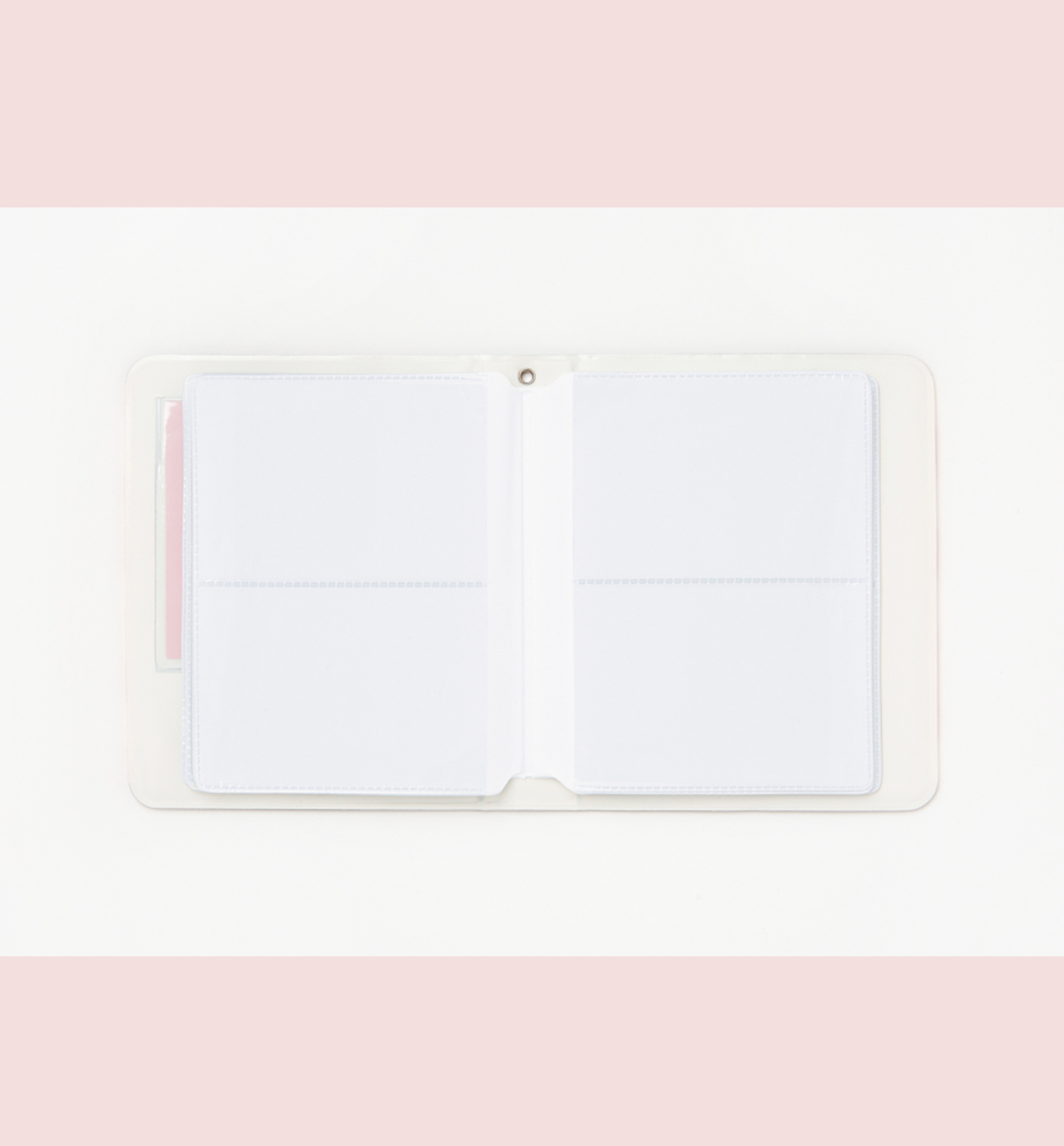 Check Bear Collect Book