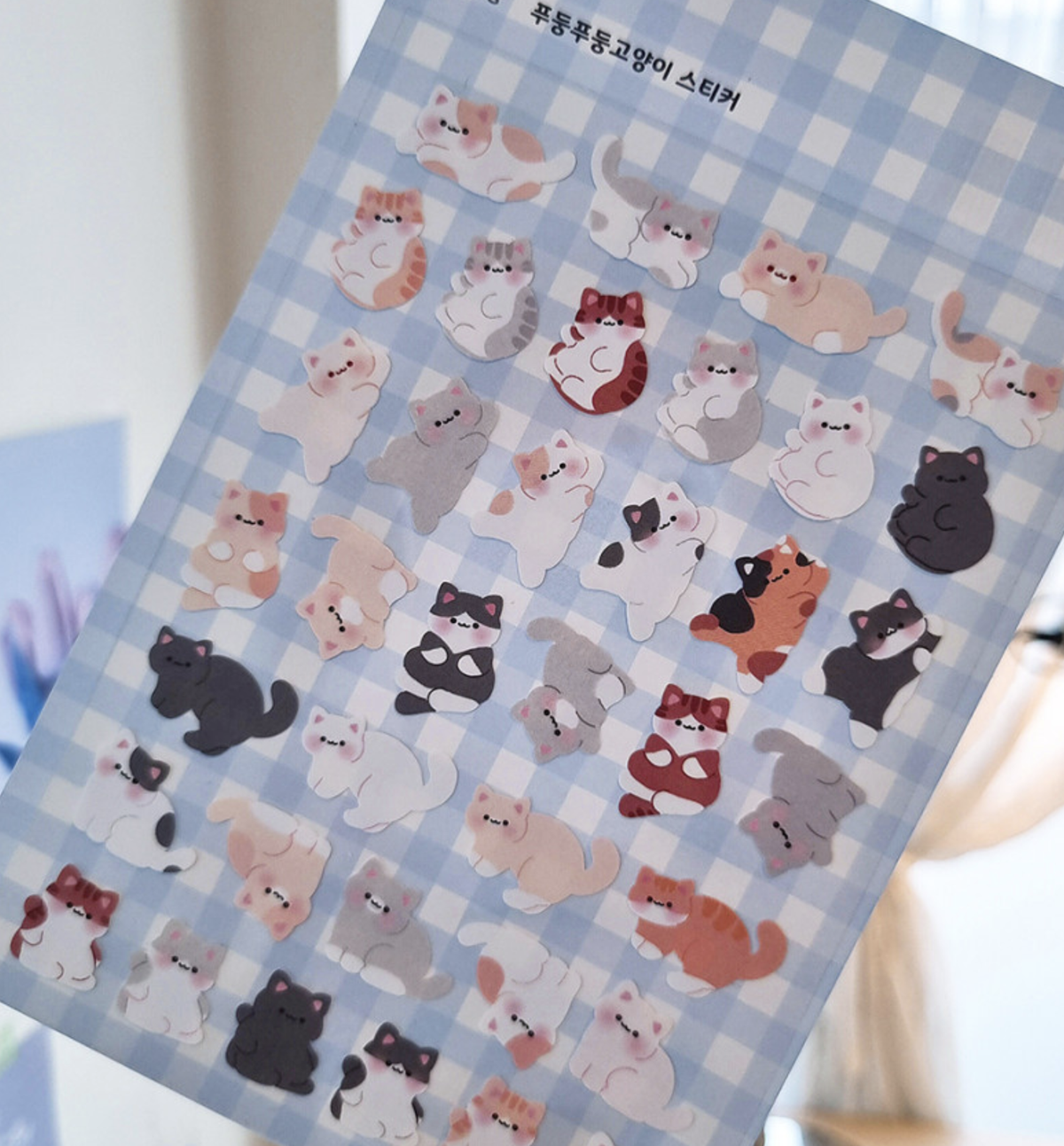 Softy Kitty Kitty Sticker